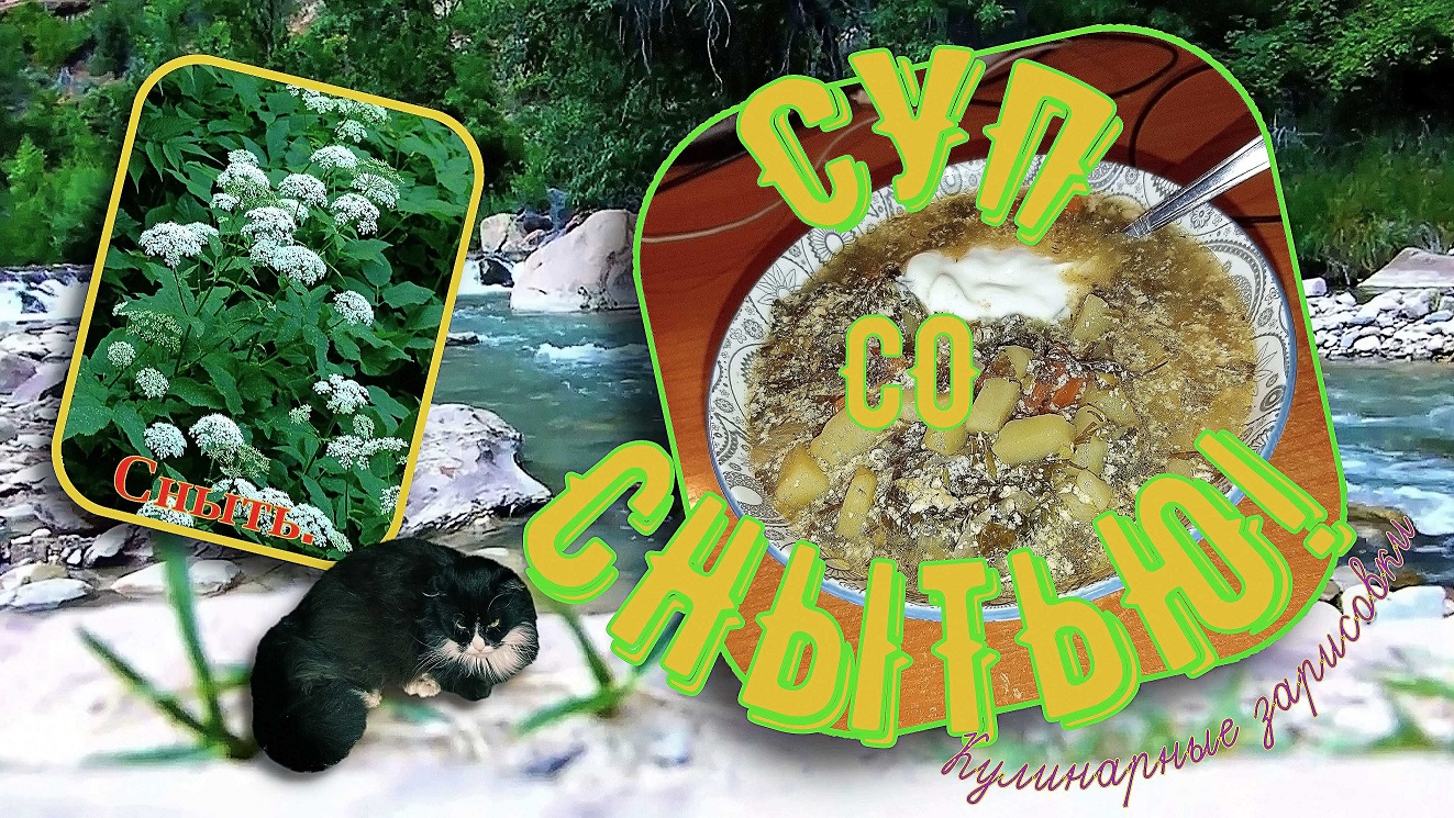 Суп со снытью! (Кулинарные зарисовки).
Дата выпуска ролика 12.04.2024г.