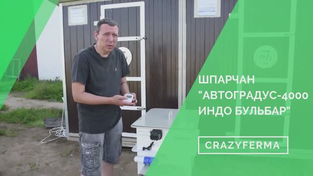 ⚡ГОРЯЧИЙ ОЩИП крупной птицы! 🎥Видео-обзор НОВОГО ШПАРЧАНА _АВТОГРАДУС 4000 ИНДО БУЛЬБАР_