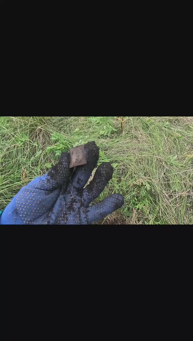 По следу банды Фомина 3
#shorts #коп #клад#золото фомина