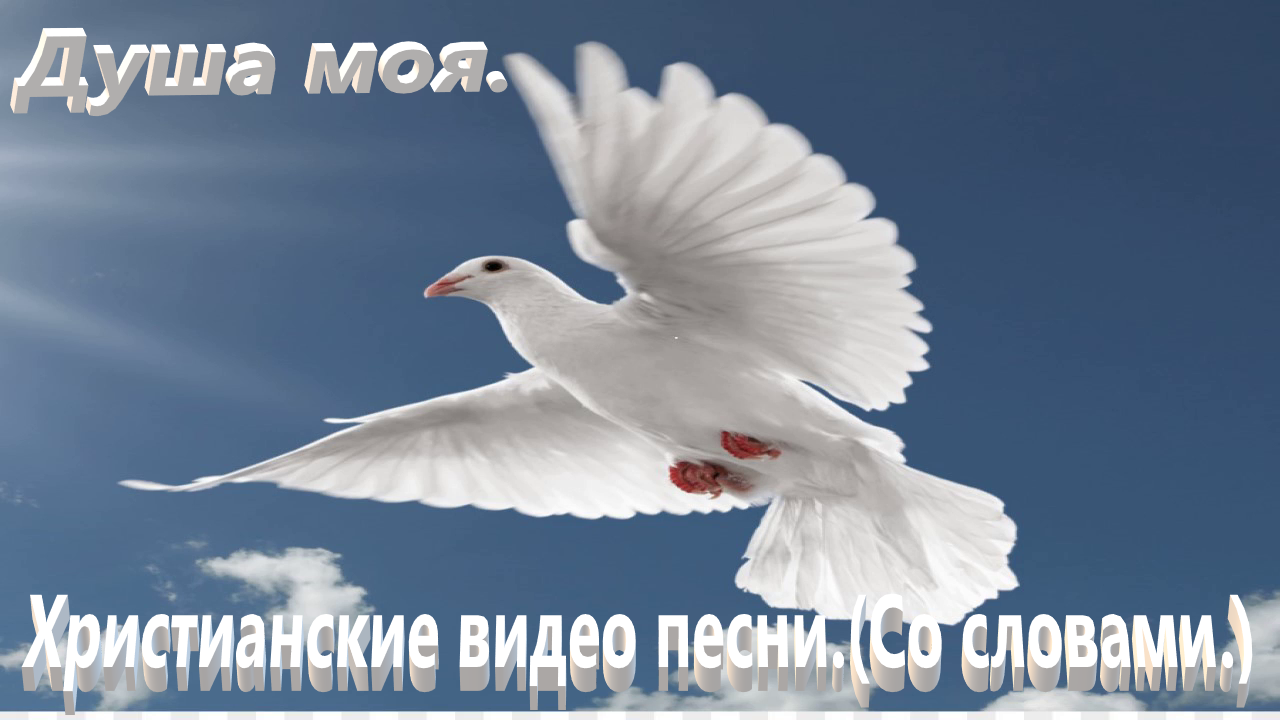 Душа моя.(Со словами.)Видео песни. Христианские видео песни.