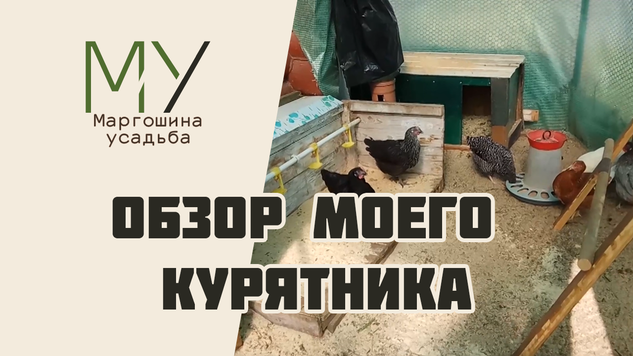 Обзор моего курятника