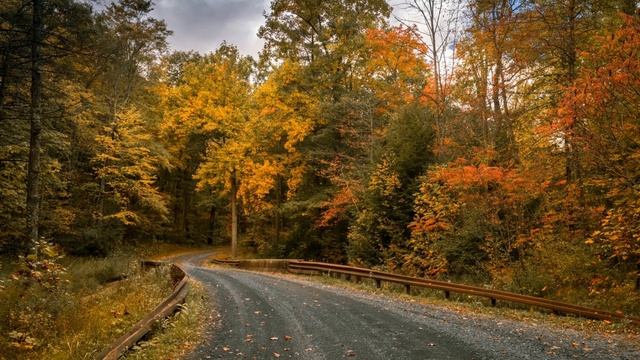 Hazy. After the Rain