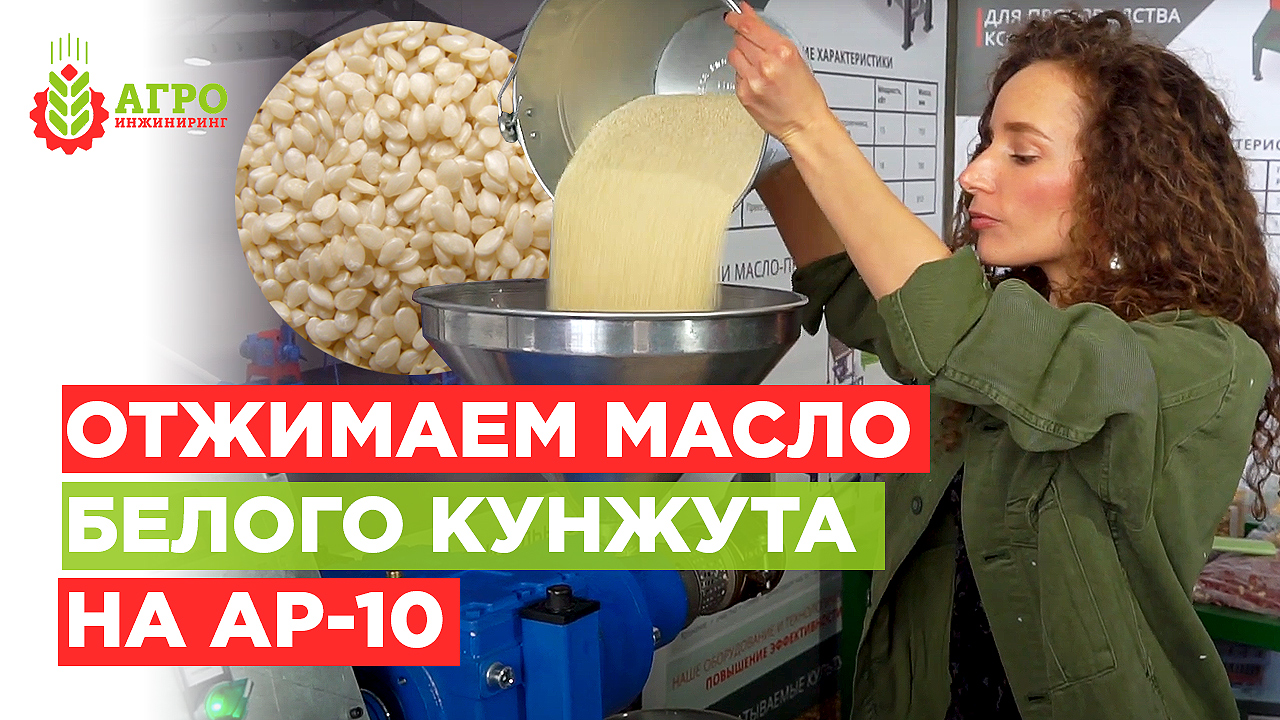 Отжимаем масло из белого кунжута на маслопрессе AP-10.