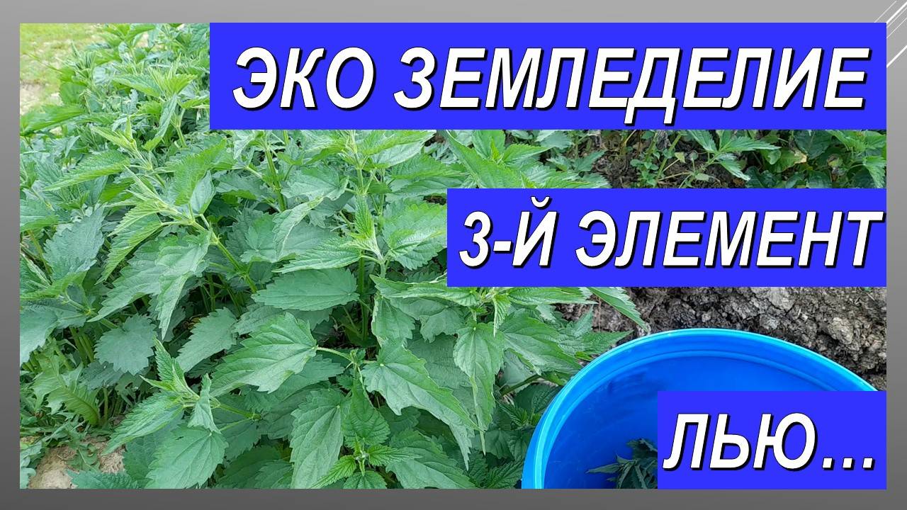 ЭКО земледелие. 3-й элемент. Лью...
