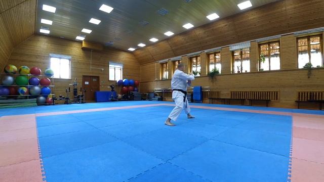 Обучающее видео_ Ката Годзюшихо Шо (Gojushiho Sho) - Зотов Михаил Сергеевич.mp4