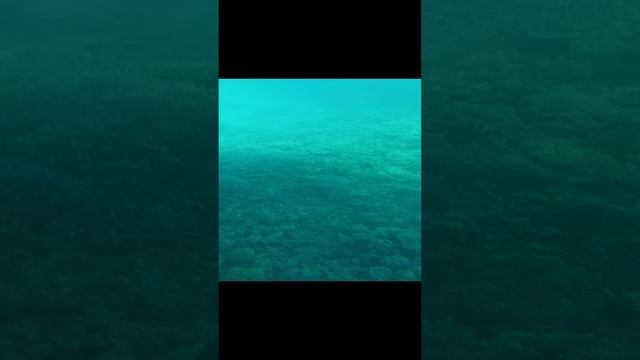 Экскурсия на яхте по Красному морю. Египет. Июль 2023.