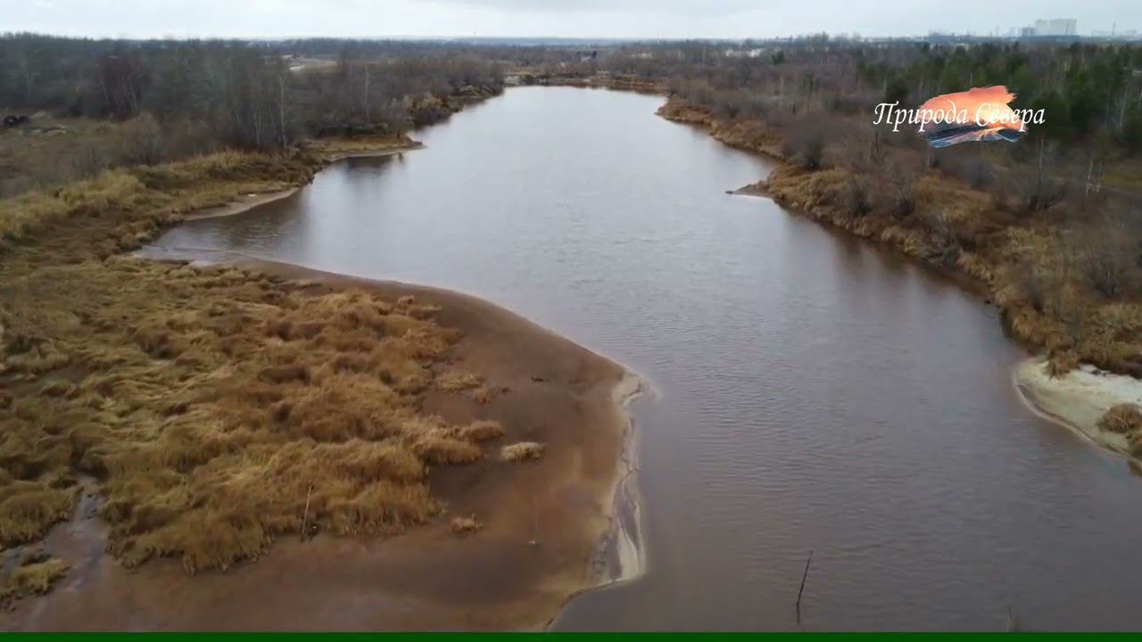 Полёт на Dji mini 2 природа Севера