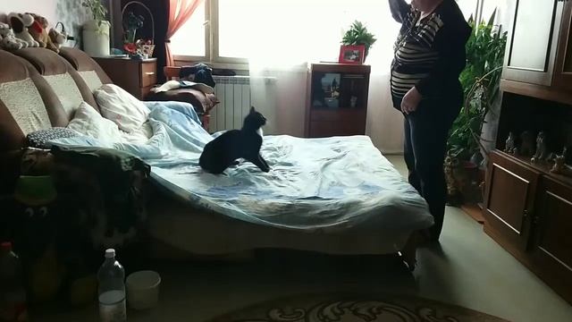 7 апреля 2022, Кузя разыгрался.