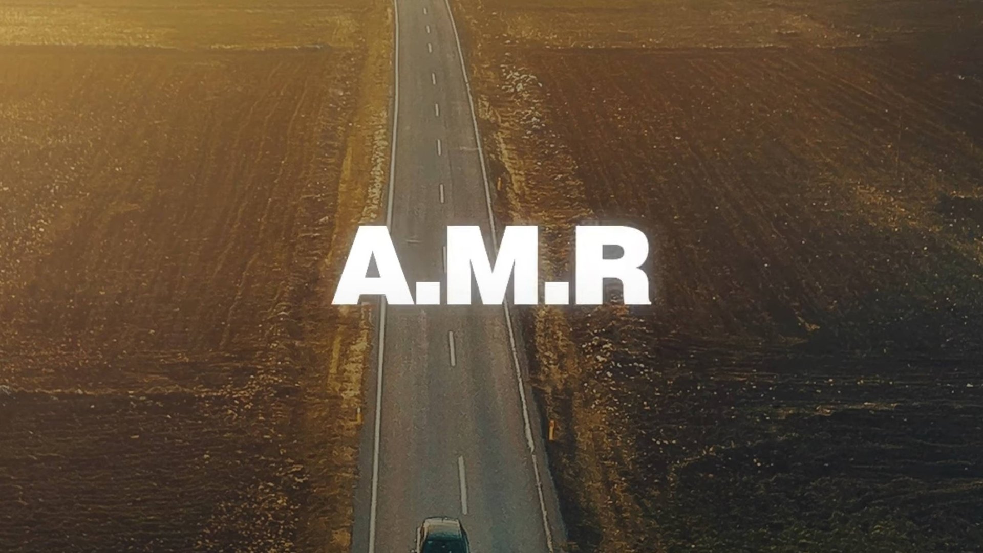 A.M.R  Brandon Mignacca - Fell Out Of Love