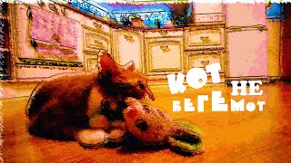 песенка "Кот не Бегемот"