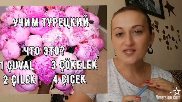 Турецкий язык в картинках