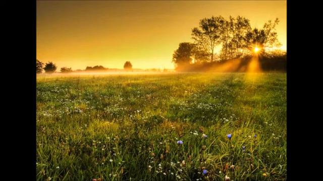 МАМА, ПРОСТИ / ПЕСНЯ