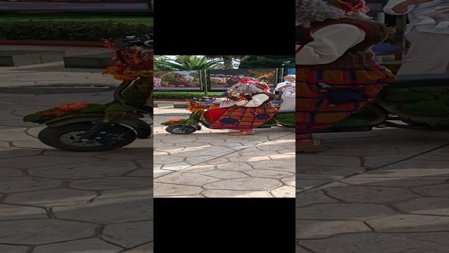 Поездка на мопеде... Баба Яга в своем репертуаре...