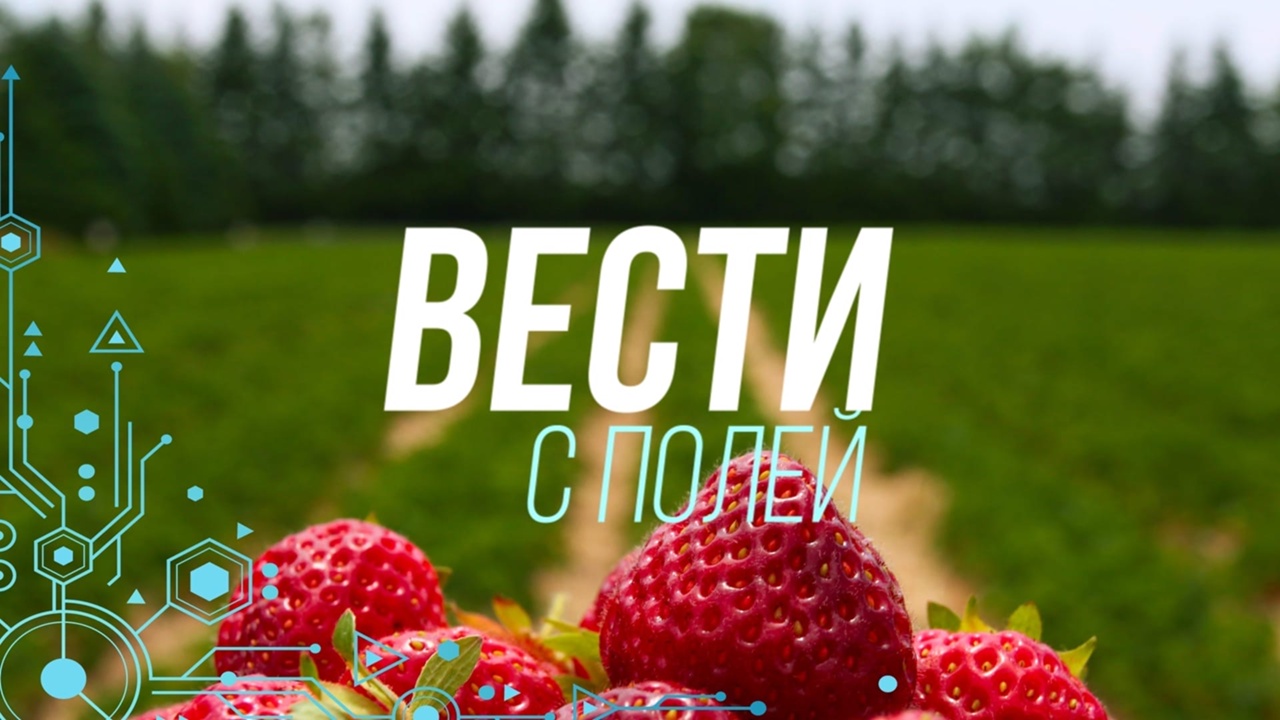Вести с полей № 17