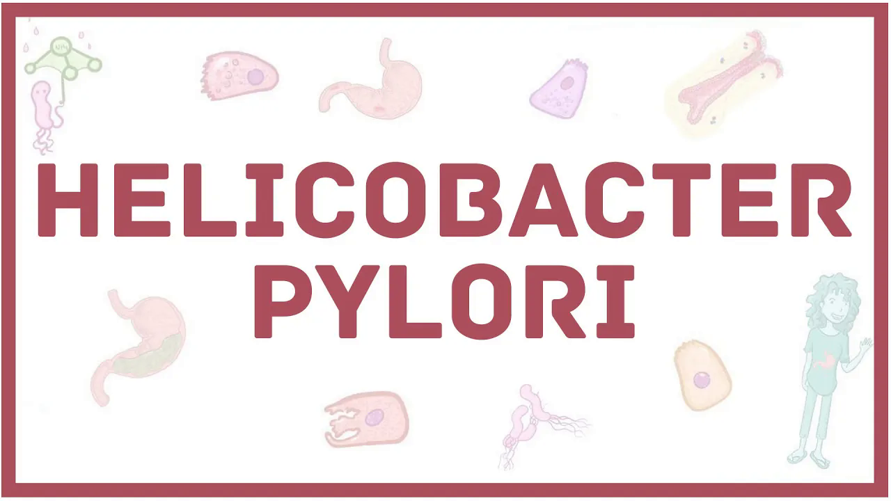Helicobacter pylori - хеликобактер - симптомы, диагностика, лечение, микробиология