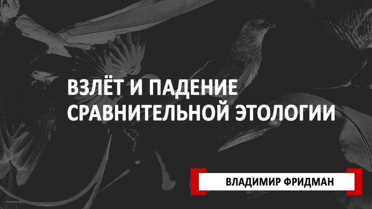 Взлёт и падение сравнительной этологии