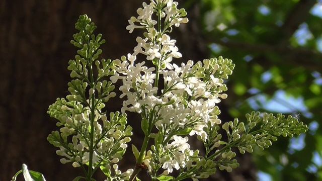 Страницы 2020 05 2. Серия 12-я.