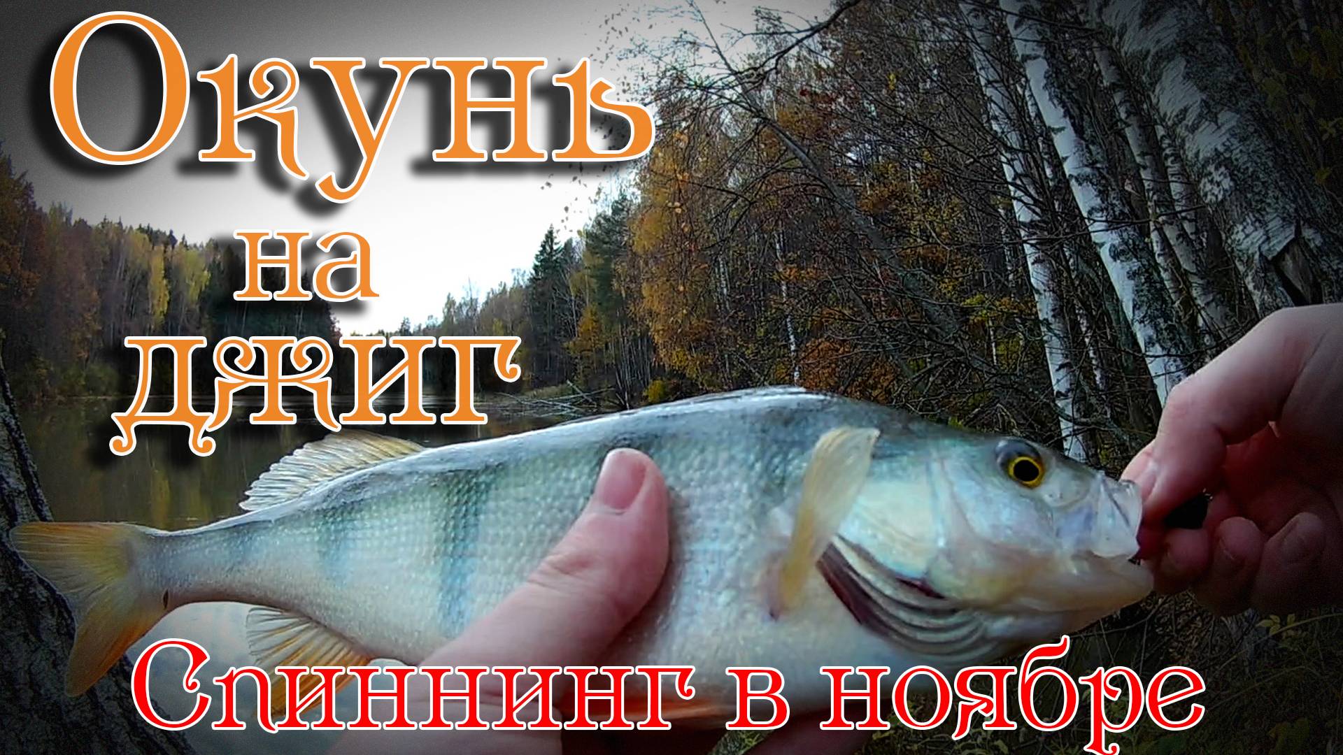 ОКУНЬ НА ДЖИГ! Осенний спиннинг