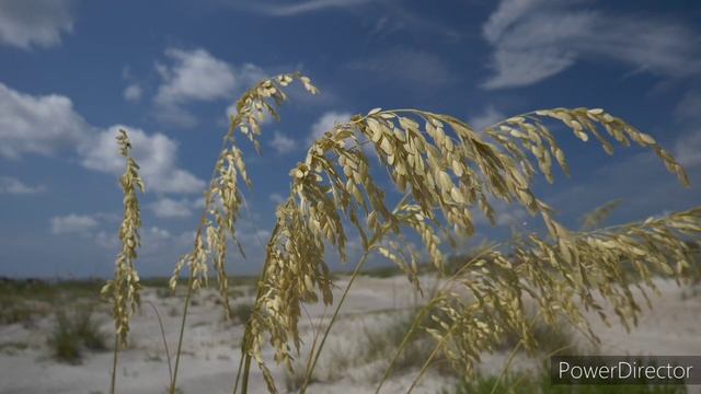 Сказка Хуснобад сказки о девушках прекрасных и добрых