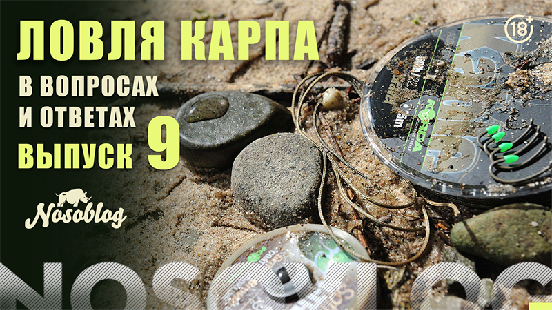 Карпфишинг в вопросах и ответах, выпуск 9, Колесников А.