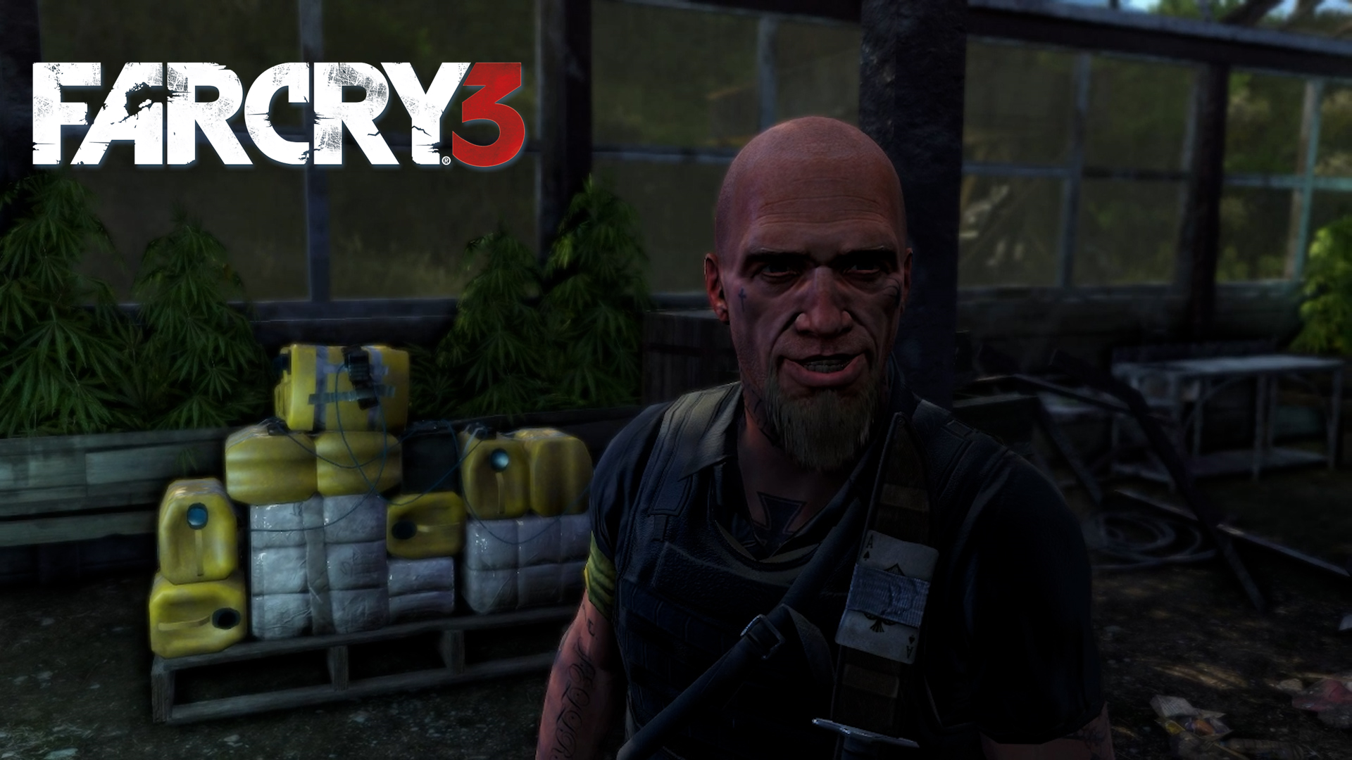 Входим в доверие (молчаливое прохождение) - Far Cry 3 #15