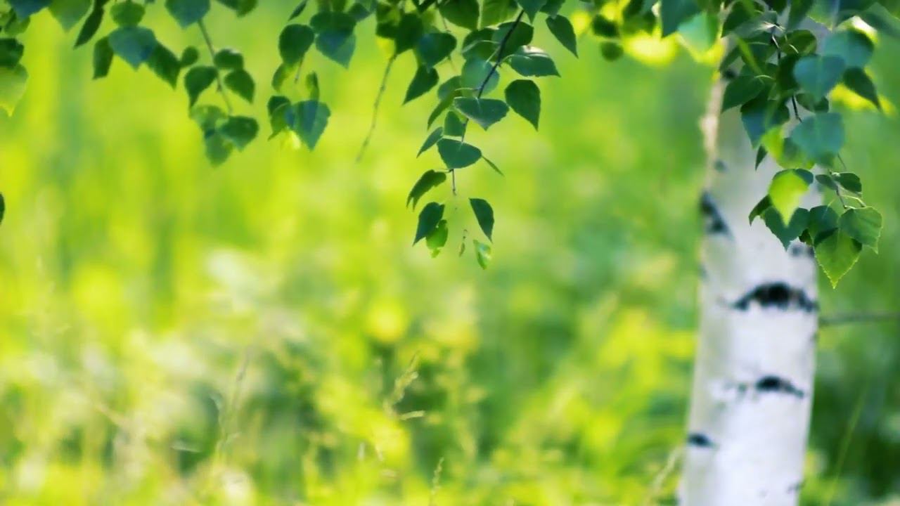 4. Офицерский романс