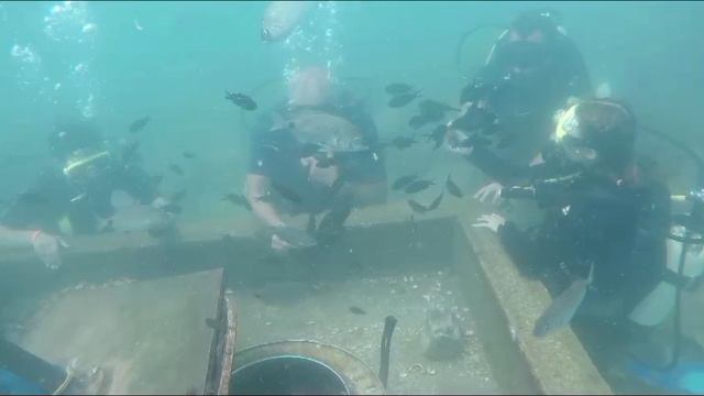 Погрузились с аквалангом!!!