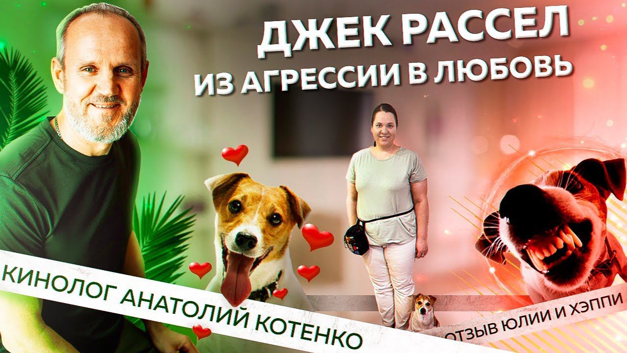 Анатолий Котенко. КЦ Барс. Отзыв. Агрессия джек - рассела.