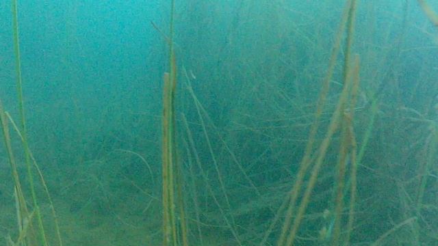 Мёртвое озеро.