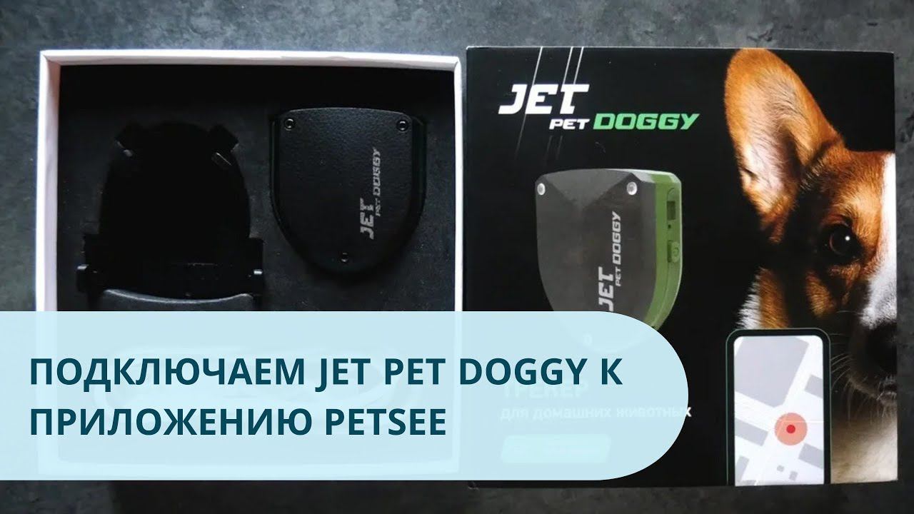 Как подключить GPS трекер для собак Jet Pet Doggy  к приложению Petsee