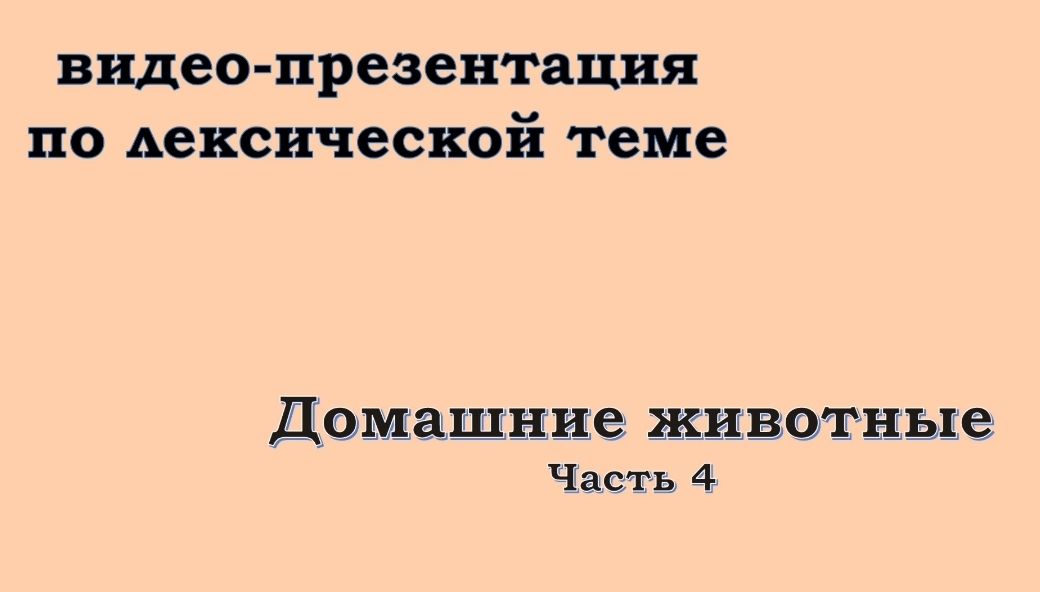 Домашние животные. Часть 4.