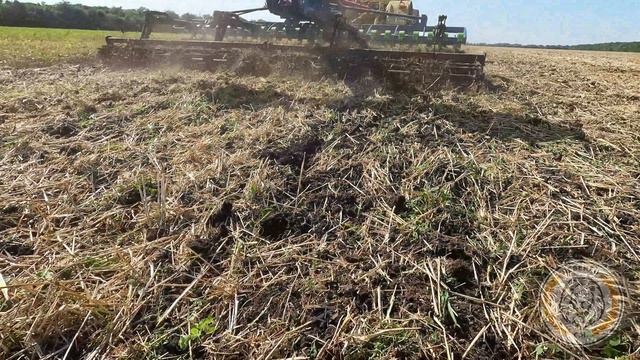 БДЛ Lion 6х2ПС по стерне