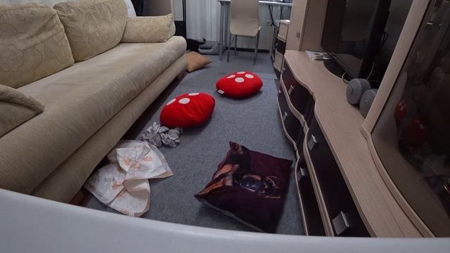 один час свободы