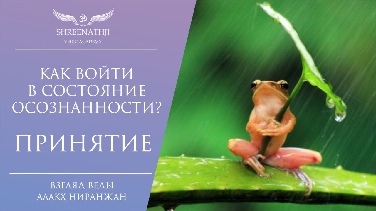 ПРИНЯТИЕ - СВОБОДА СОЗНАНИЯ | КАК ВОЙТИ В СОСТОЯНИЕ ОСОЗНАННОСТИ?