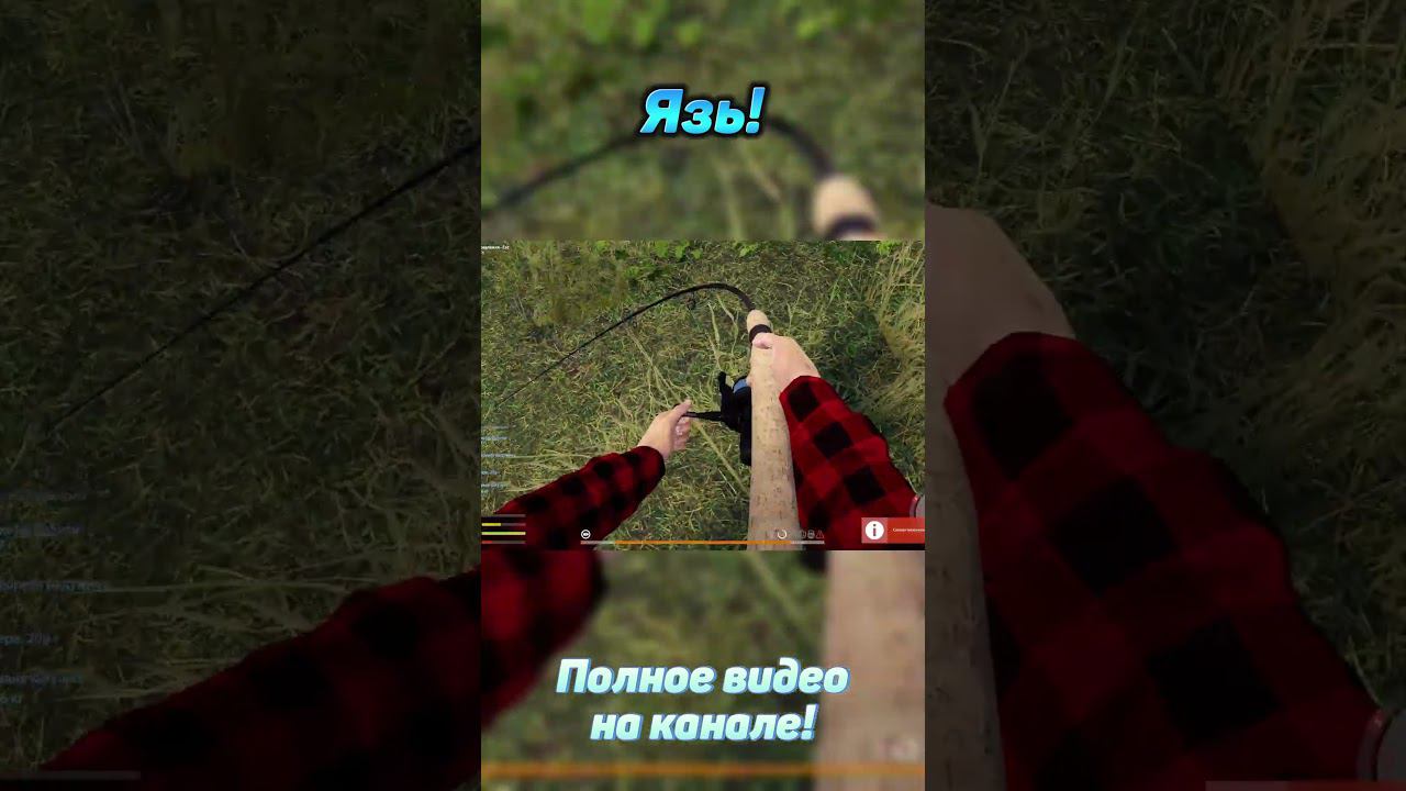 Здоровенный язь!