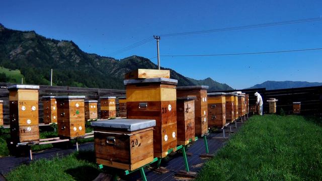 2024_0623_084543_084