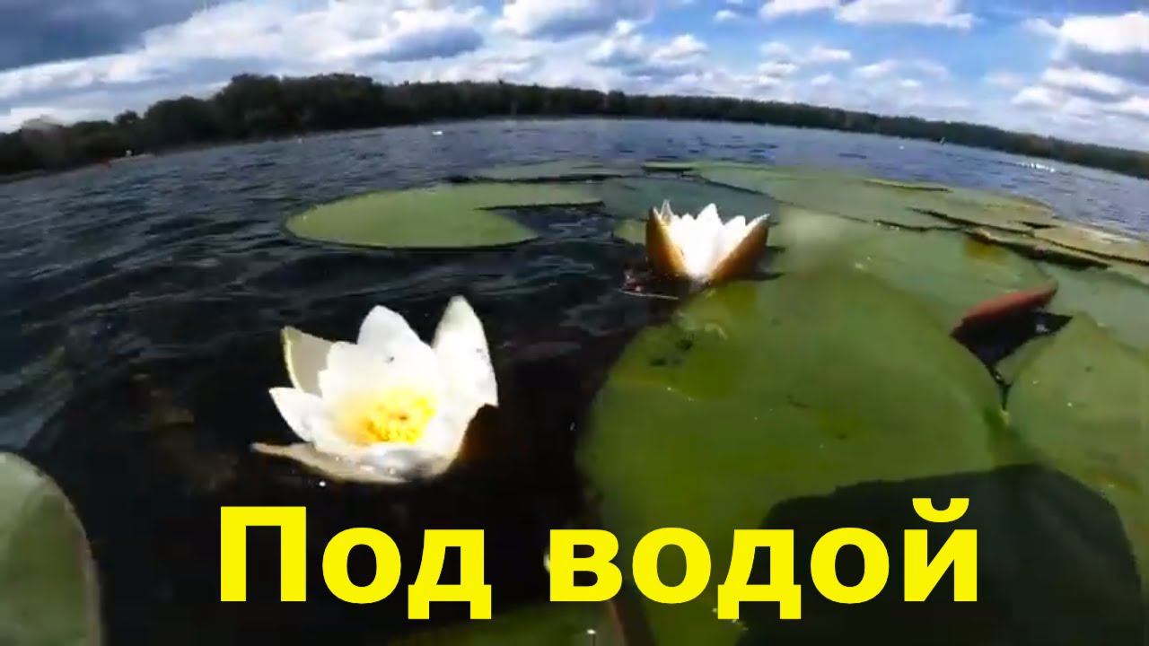 Под водой озеро Увильды - первый заплыв в сезоне