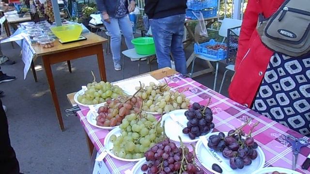 Выставка Винограда В Донецке _04.09.2021 3 Часть