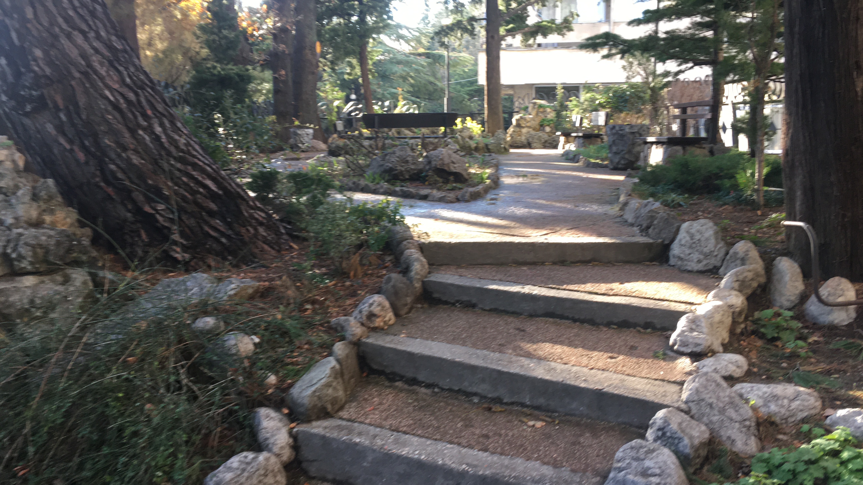 Крым. ЮБК. Кореиз. Санаторий Ай-Петри. Есть тут такое вот приятное место. Запись от 05.12.23