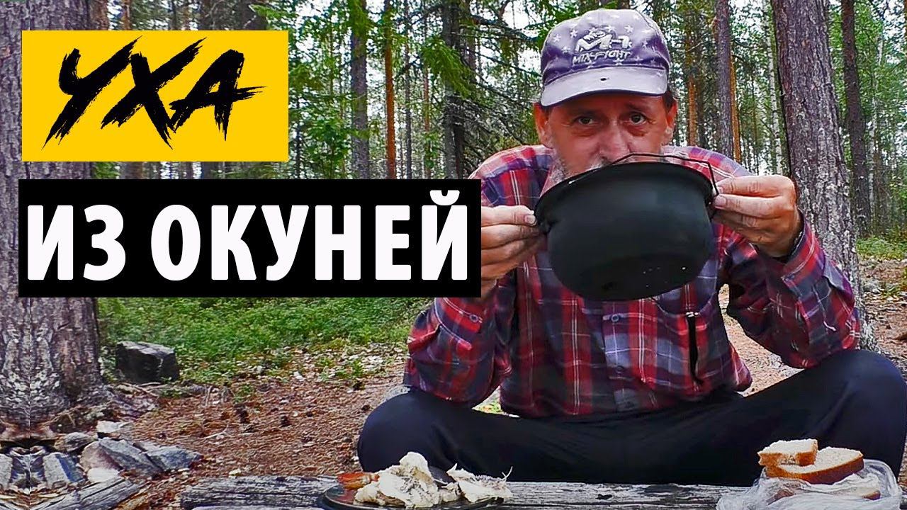#11  Дарёные окуни - самые вкусные |  Уха из окуней  | Главное в ухе - не рыба