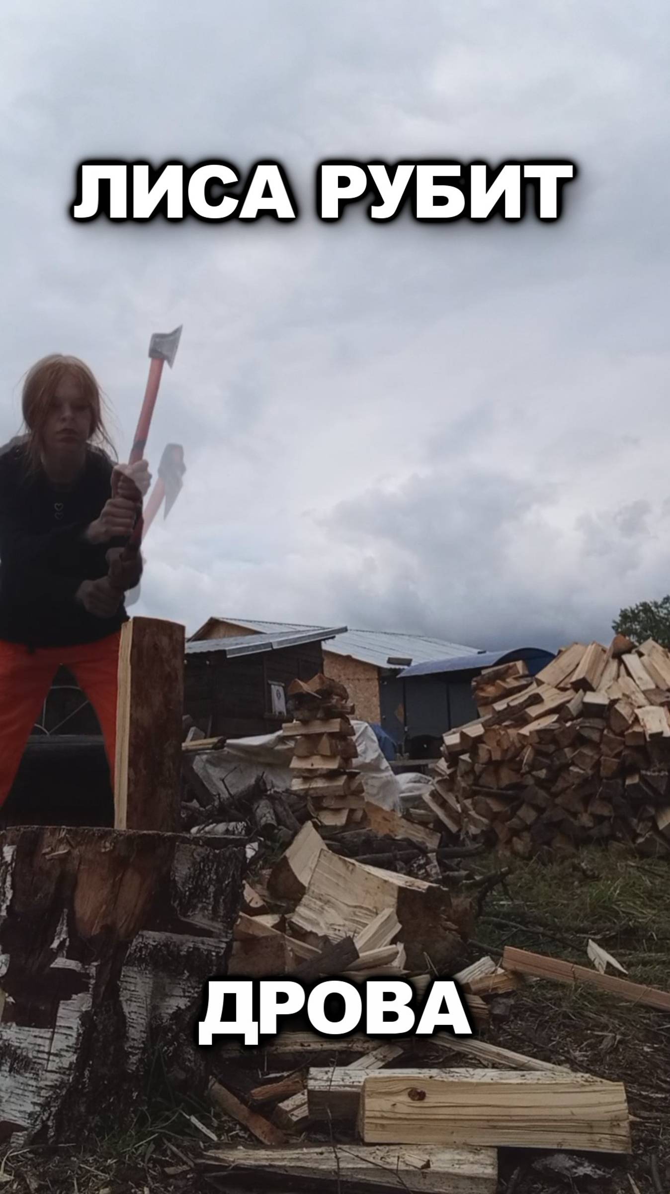 ЛИСА рубит дрова на мангал (Турбаза Ослянка.Рассольный)