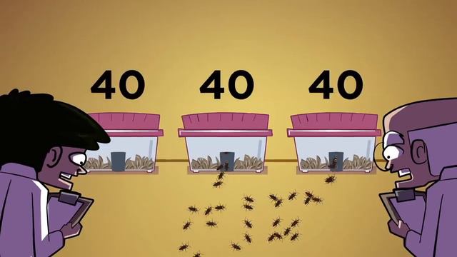 Ленивцы Такие Медленные, Что На Них Растут Водоросли. Парад Фактов 15