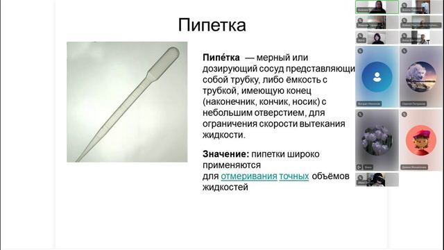 Биология 6 класс. Минигруппы. ОУ 11.09.2024