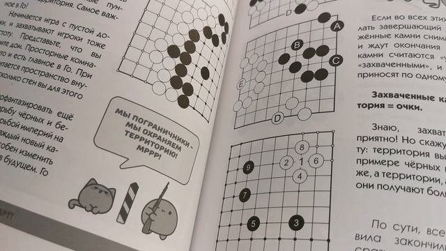 Научитесь играть в Го! Первые впечатления о книге.