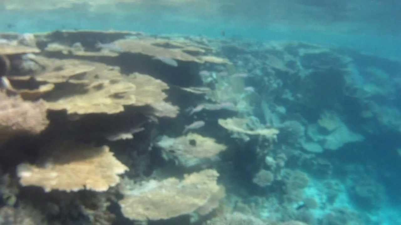 Vilamendhoo, Maldives. Vol.8