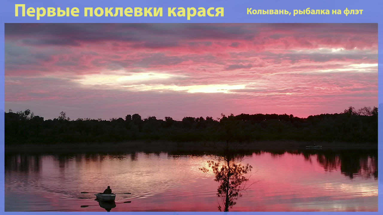 Первые поклевки карася. Флэт кормушка на фидер.