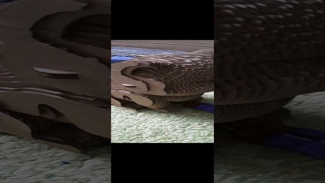 показал своё лицо! Кошки против Зомби 2 сезон