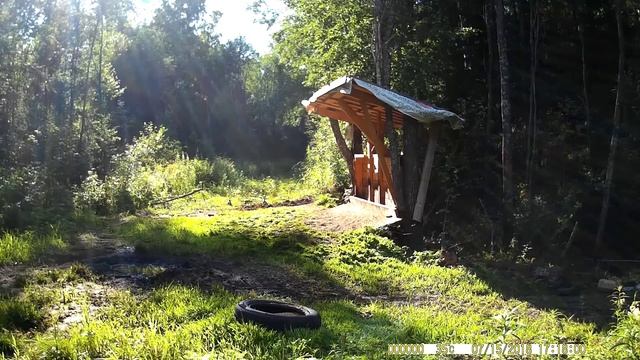 Птицы, запечатленные на фото ловушку. Часть № 41