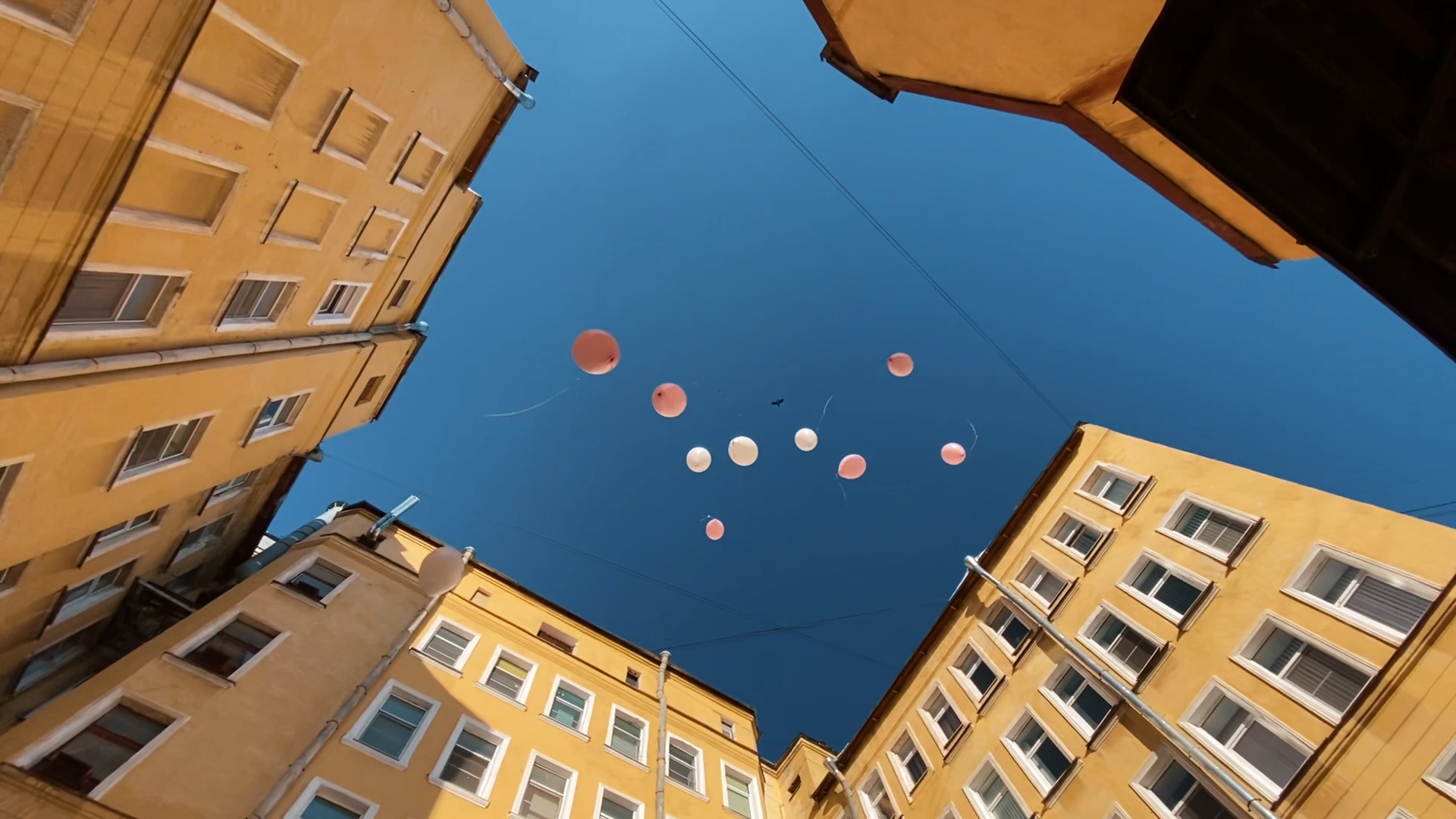 Выписка из роддома. Фильм