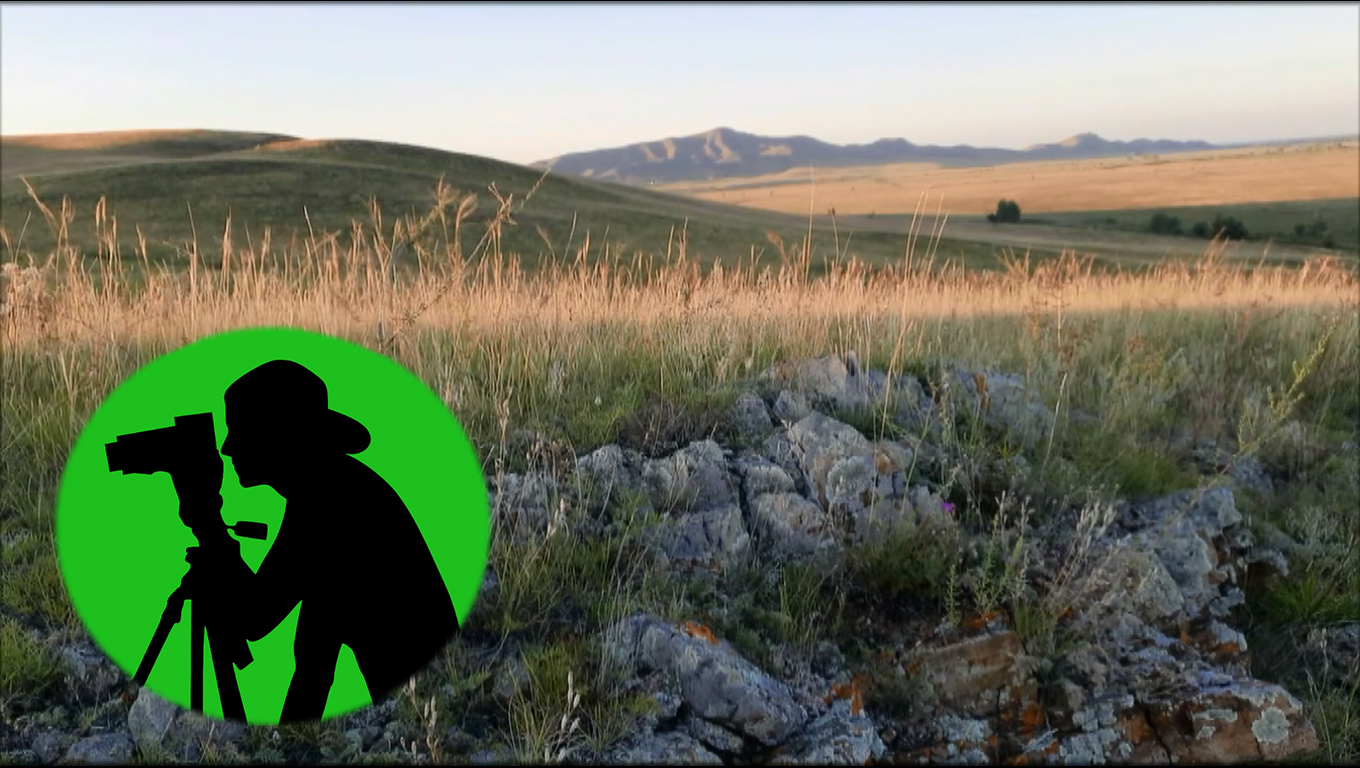 Звучание летней степи / Расслабляющие звуки природы для вашего отдыха и крепкого сна